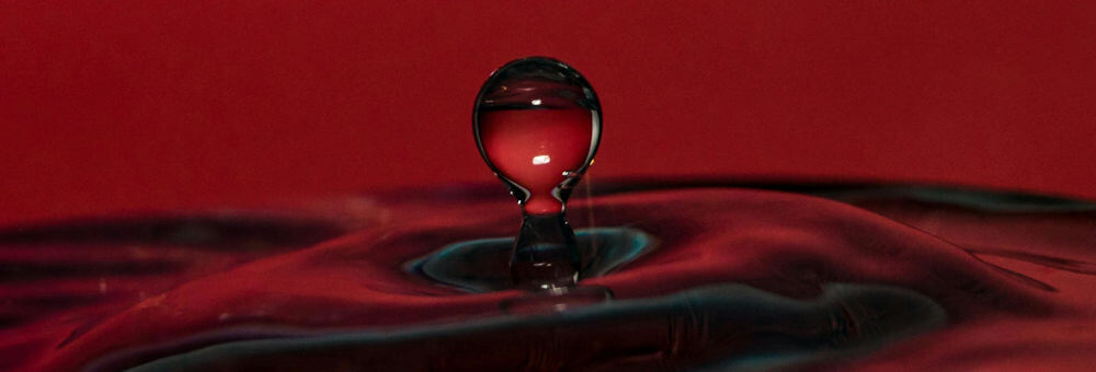 Understanding Blood and Fluids in TCM Part 1 | Simple Harmony